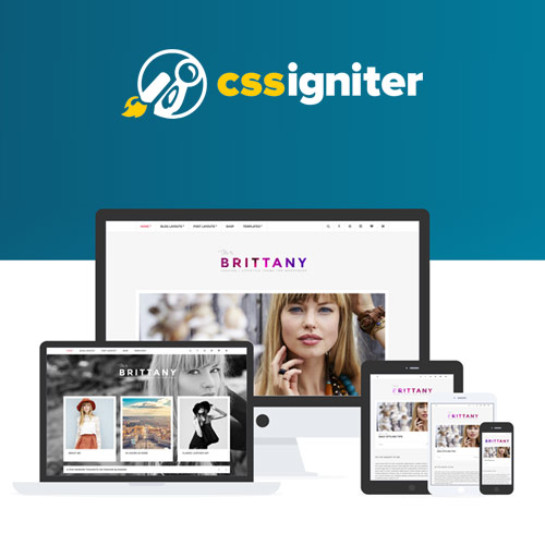 CSS Igniter Brittany WordPress Theme - WP Starter Pack
