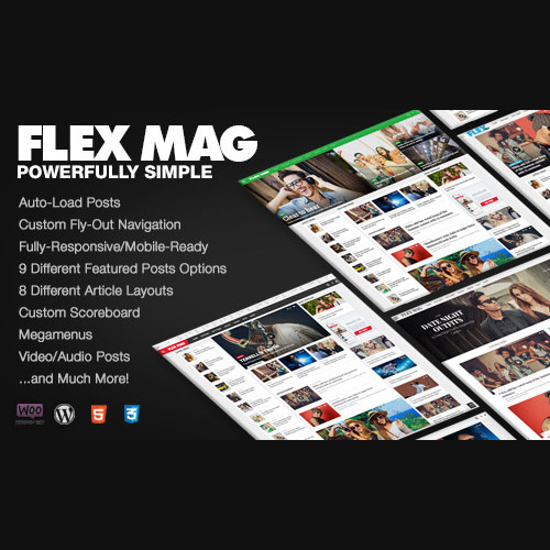 Flex Mag – Responsive WordPress News Theme - WP Starter Pack