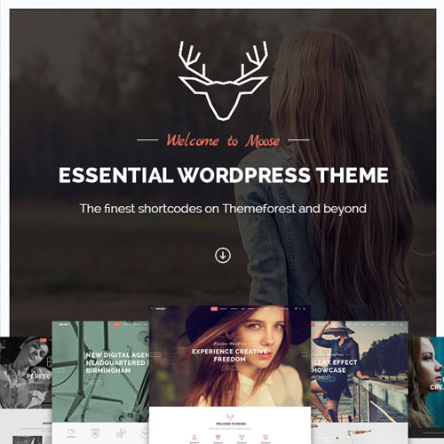 Moose – Creative Multi-Purpose Theme - WP Starter Pack