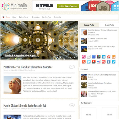 MyThemeShop Minimalia WordPress Theme - WP Starter Pack