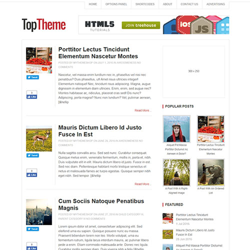 MyThemeShop Top WordPress Theme - WP Starter Pack
