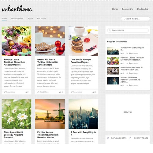 MyThemeShop Urban WordPress Theme - WP Starter Pack