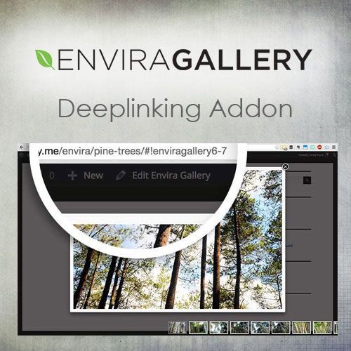 Envira Gallery – Deeplinking Addon - WP Starter Pack