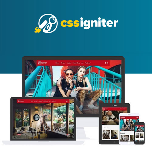 CSS Igniter Pinmaister WordPress Theme - WP Starter Pack