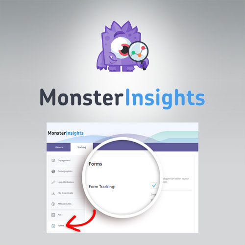 MonsterInsights – Forms Tracking Addon - WP Starter Pack