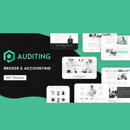 Auditing | Accounting Consultant, Finance WordPress Theme - WP Starter Pack